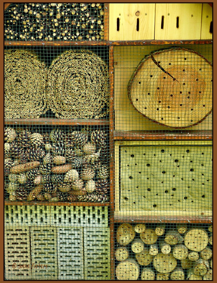 Insect Hotel • Insteading